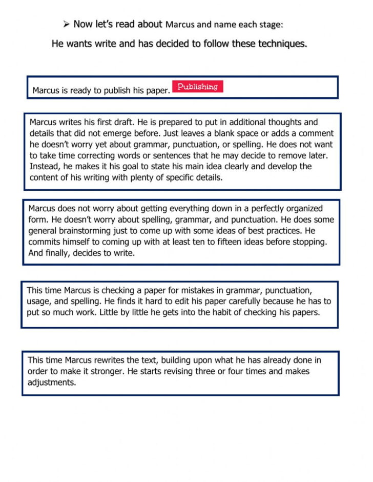 Steps Of The Writing Process Worksheet | Writing Worksheets